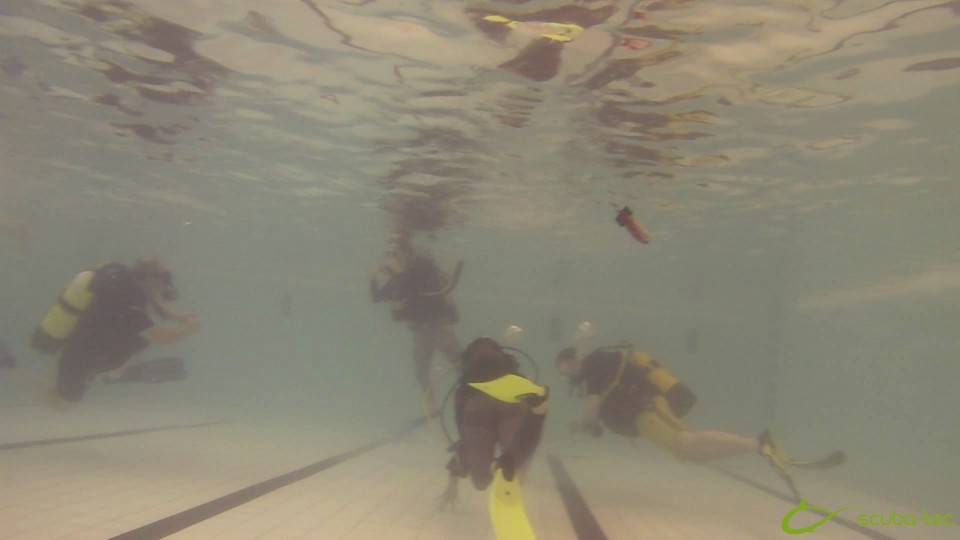 The October Roundup - Scuba-tec - Padi scuba diving in the Midlands