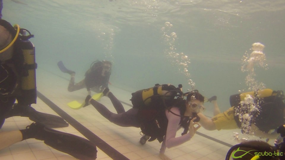 Home - Scuba-tec - Padi scuba diving in the Midlands